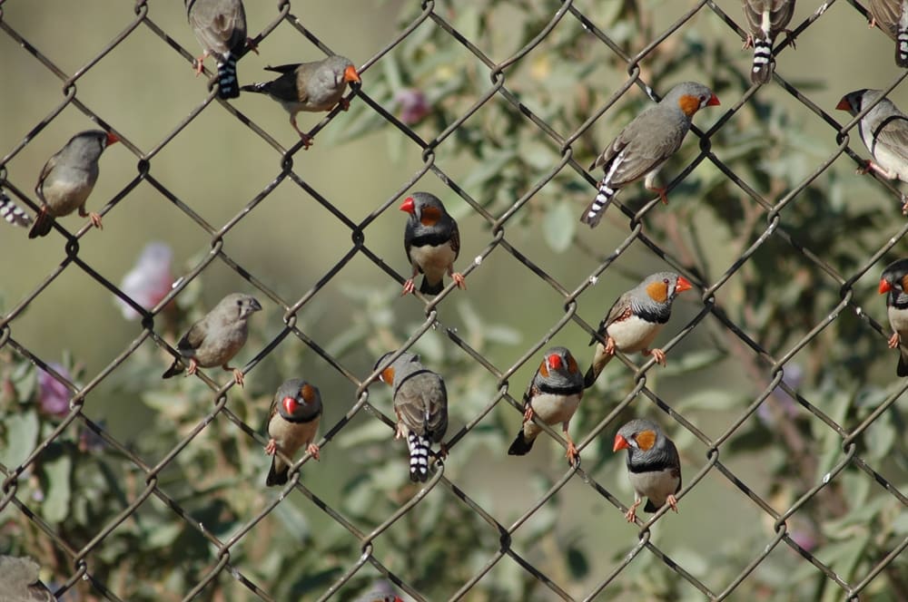 Favourite Shots – Birdshot Photography